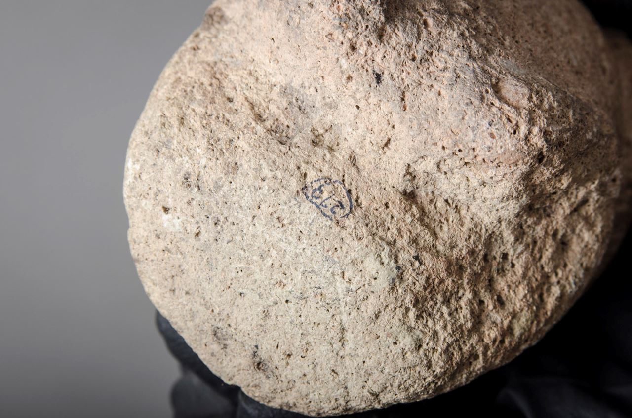 Animal Totem | Hieronymus Objects