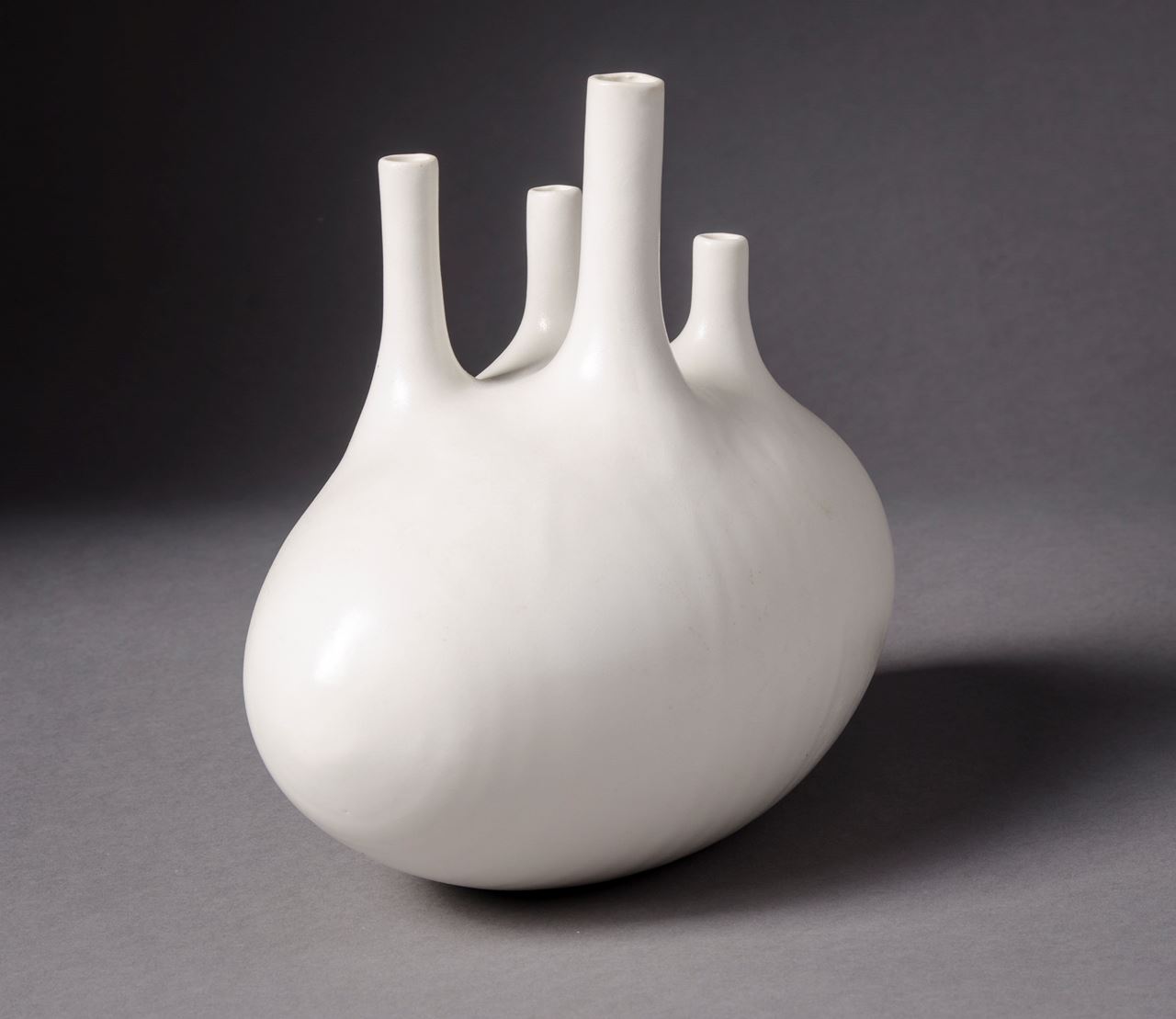 Aorta Collection | Hieronymus Objects