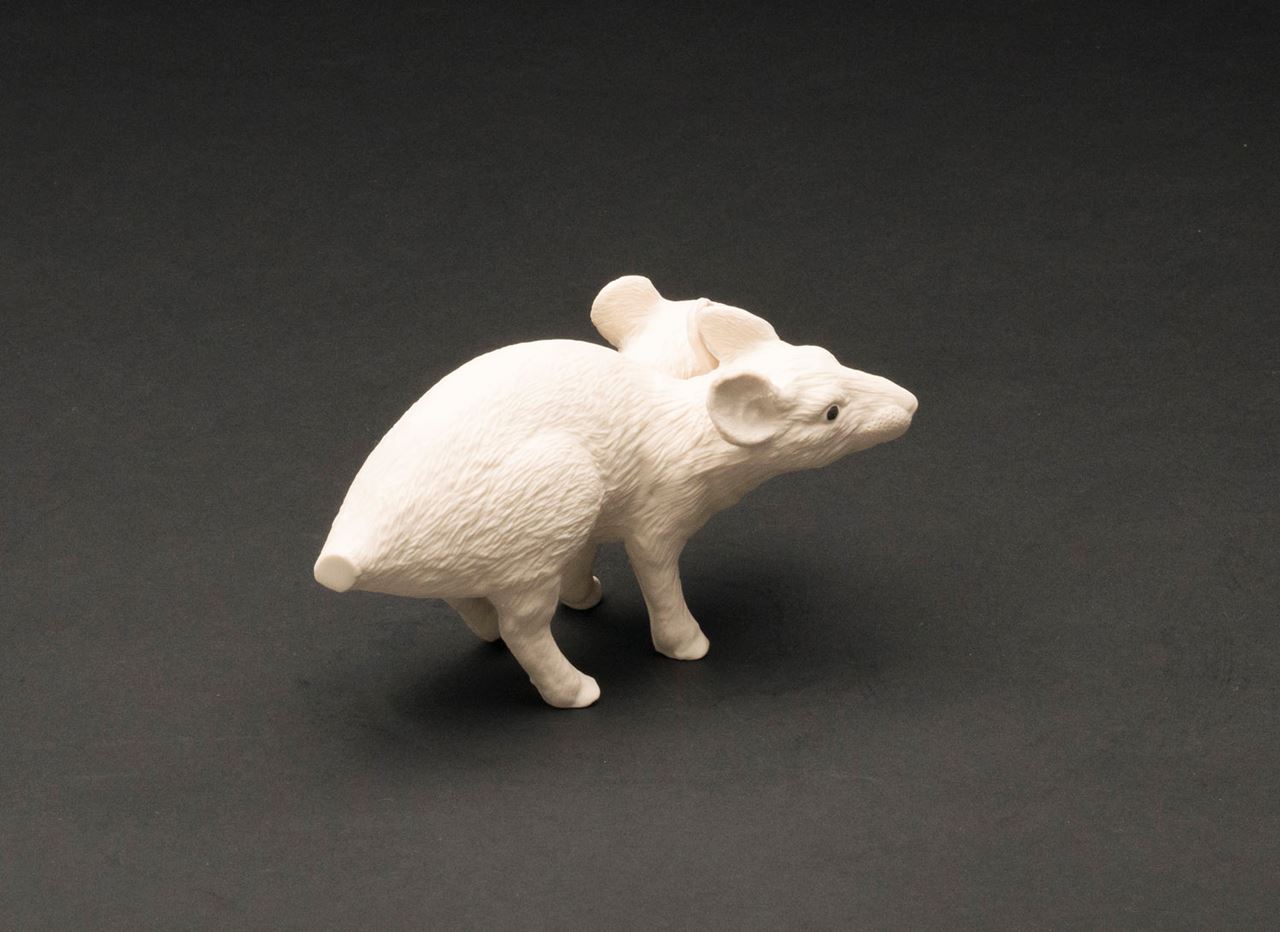 Two Headed Rat | Hieronymus Objects