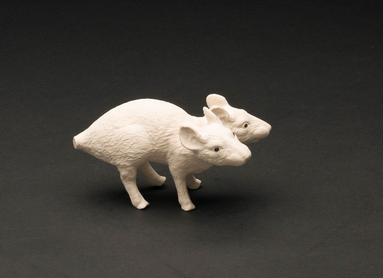 Two Headed Rat | Hieronymus Objects
