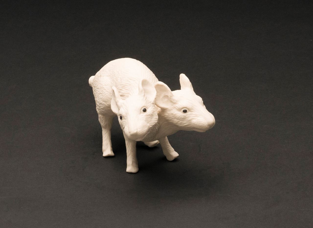 Two Headed Rat | Hieronymus Objects