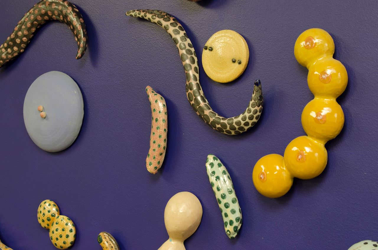 Bacteria, Diatoms, and Cells | Hieronymus Objects