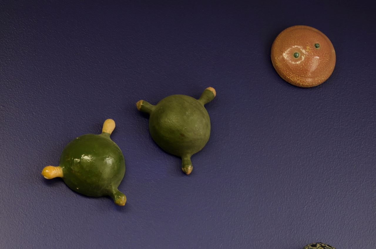 Bacteria, Diatoms, and Cells | Hieronymus Objects