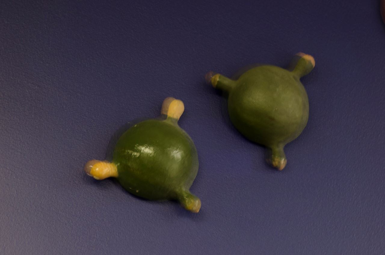 Bacteria, Diatoms, and Cells | Hieronymus Objects