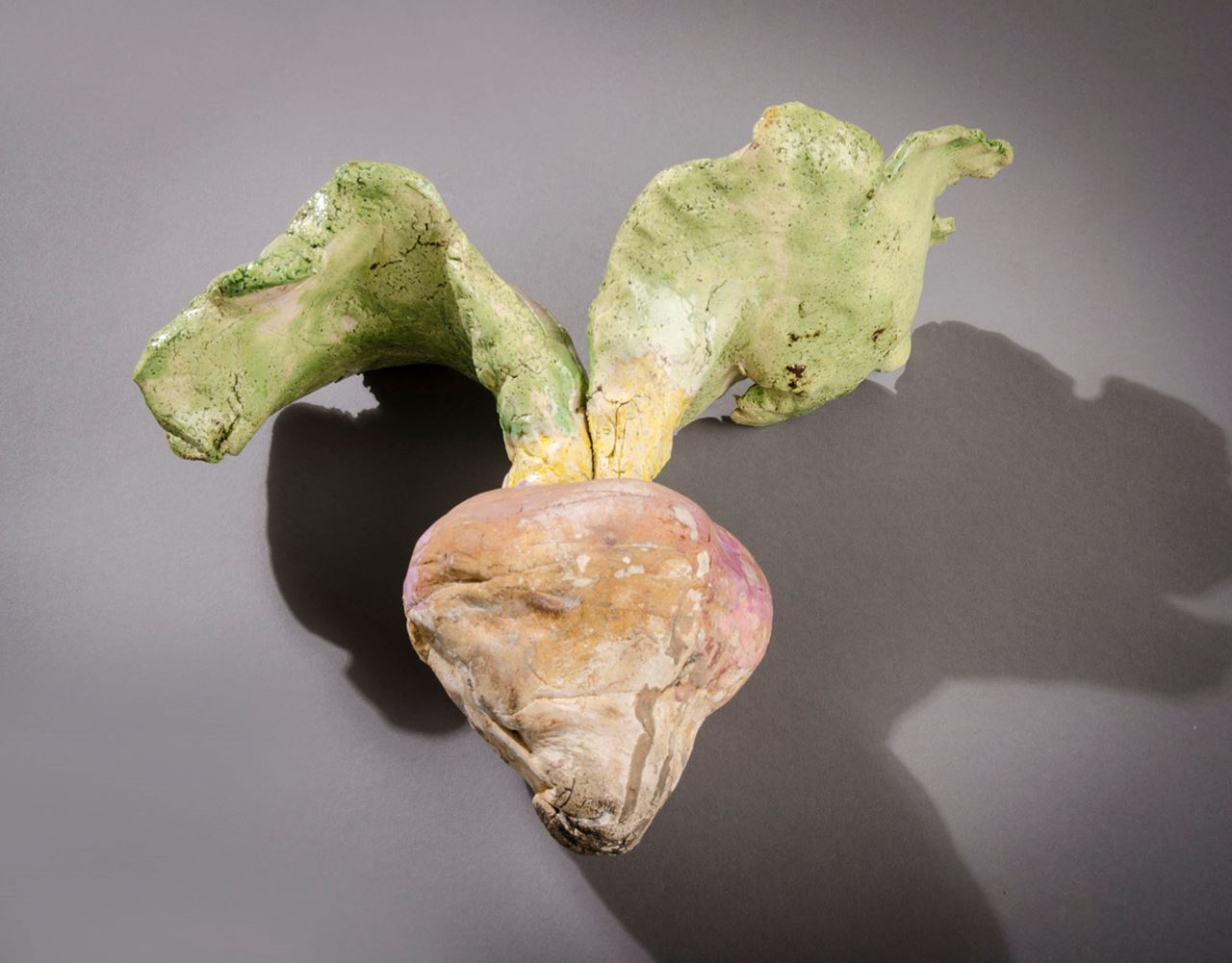 Turnip | Hieronymus Objects