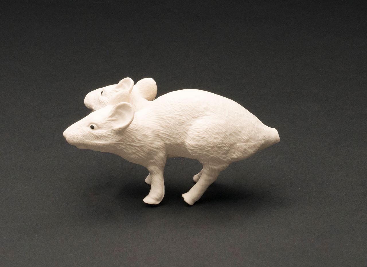 Two Headed Rat | Hieronymus Objects